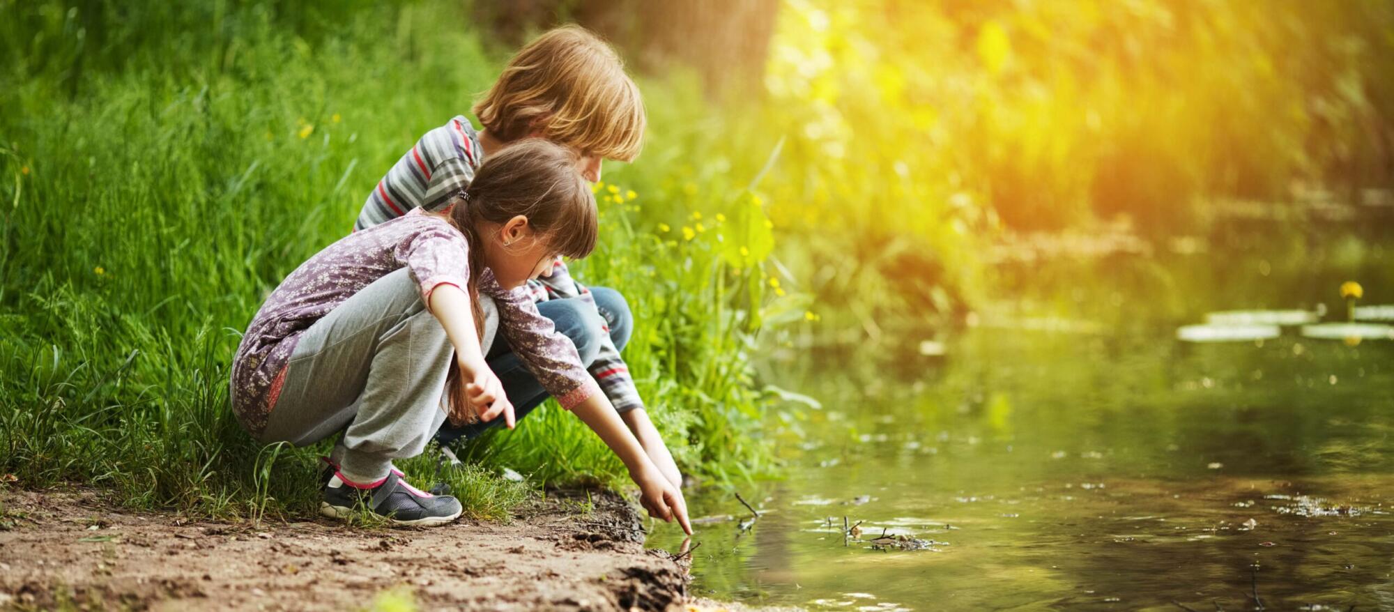 Pond Ecosystems: Meaning, Types, Characteristics, Importance Pond Ecosystems: Meaning, Types, Characteristics, Importance