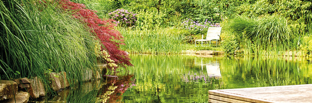 Swimming pond ; ideal combination of a pool and a pond ! - Aquigarden.com