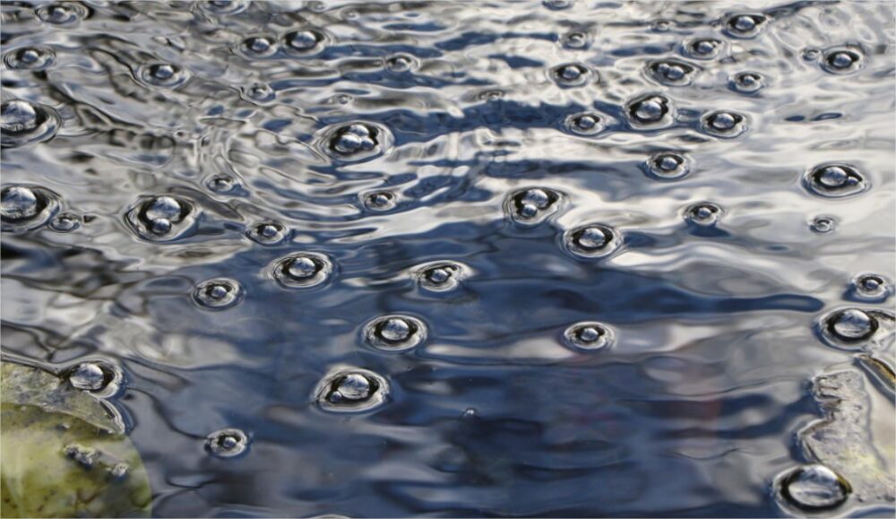 How to Get Rid Of Smelly Pond Water & Bad Pond Odors - Aquigarden.com