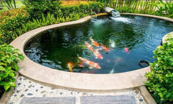 How much does it cost to dig a pond? - Aquigarden.com